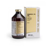 Administrare injectabila - Servicii Publice