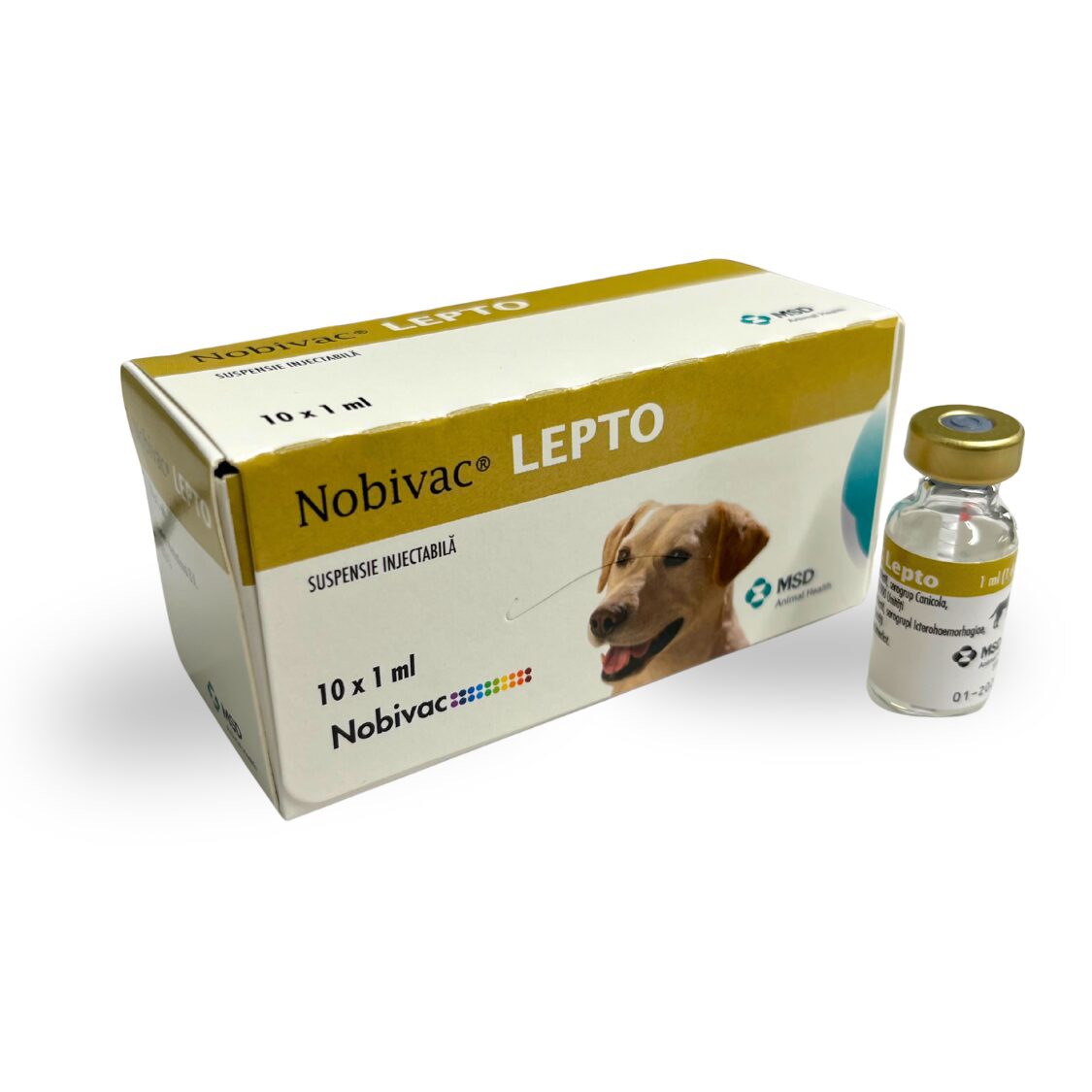 NOBIVAC LEPTO 1 dz - vaccin contra leptospirozei la caini - Servicii ...
