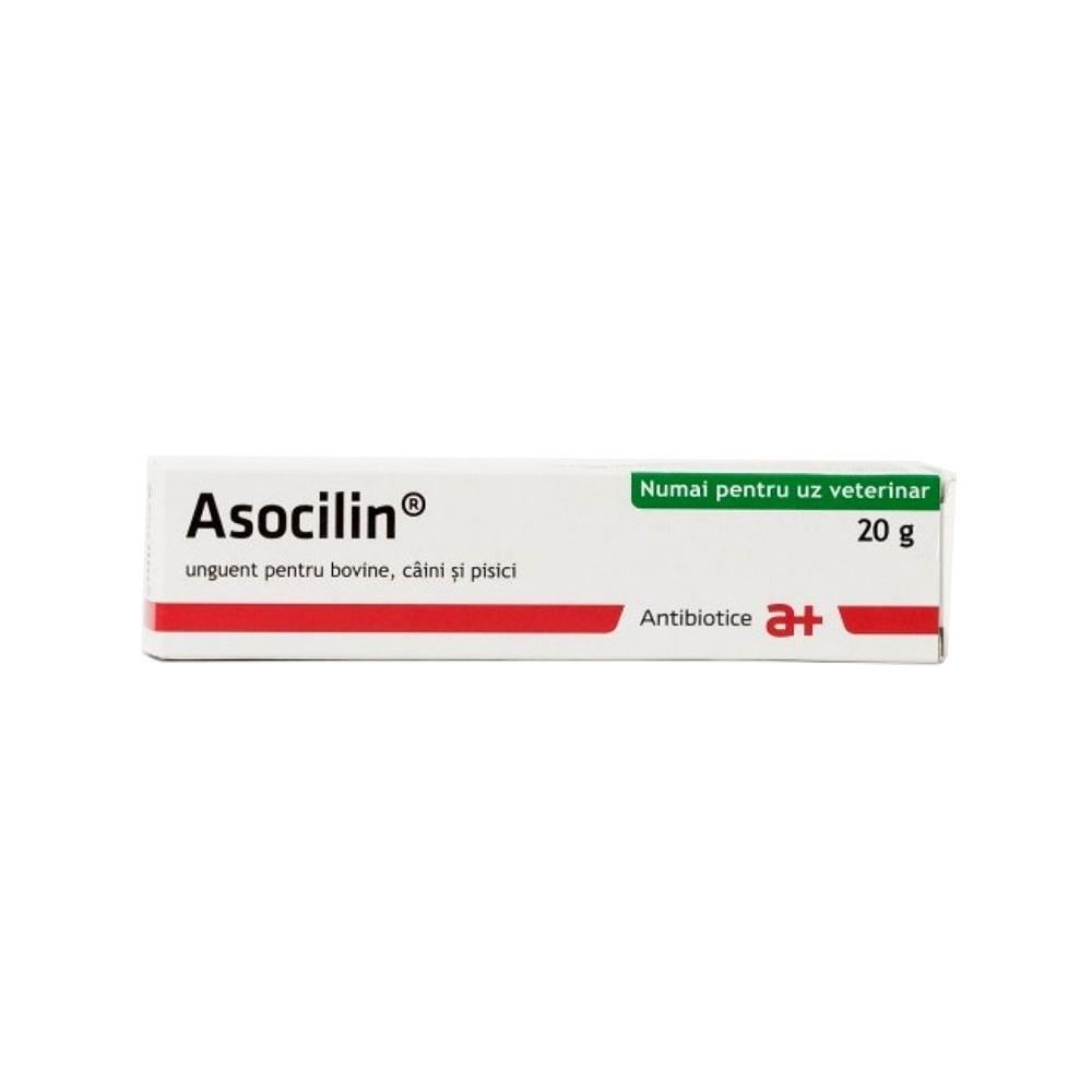 ASOCILIN 20 G - unguent activ fata de coci si bacili Gram-pozitivi si ...
