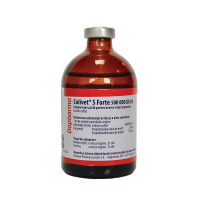 Acasa - Servicii Publice