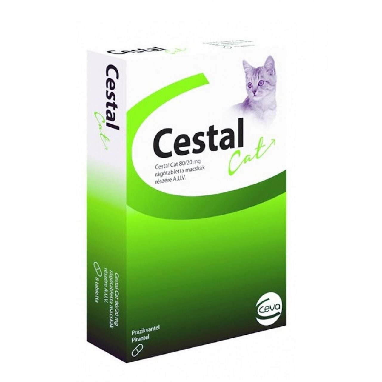 CESTAL CAT tbl - Servicii Publice